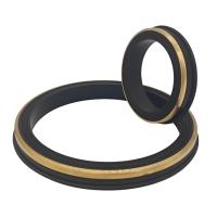 China Premium NBR Hammer Union Seals with Brass Anti-Extrusion Ring | Fig 602, 1002, 1502 High Pressure Lip Seals | Nitrile Oilfield Seals for Pipeline for sale