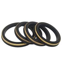 China Premium NBR Hammer Union Seals with Brass Anti-Extrusion Ring | Fig 602, 1002, 1502 High Pressure Lip Seals | Nitrile Oilfield Seals for Pipeline for sale