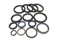 China Blue Color Vition seals hammer union seals with/without skeleton vast apply for high pressure manifolds and plug valve for sale