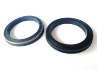 China 1502 Fluoroelastomer FKM Hammer Union Seals For High Pressure Pipe for sale