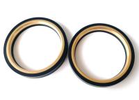 China Hammer Union Replacement Metal Backed Seal Rings for Flow Line & Oil Field for sale