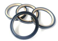 China Professional Brass Backed Nitrile Rubber Seal For Hammer Union Black Color for sale