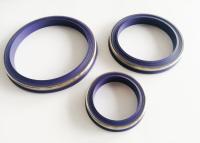China Oil Resistant Chemical Resistant Hammer Union Lip Seal Ring Widely Used for sale