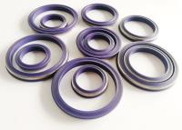 China Factory Supplier Industrial Oil Seal parts With matel Backed Rings   Hammer Union Seal for sale