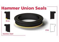 China FIG 602/1002/1502 Colorful NBR HNBR FKM PTFE Hammer Union Seal Accept Custom for sale