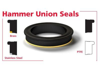 China FIG 602/1002/1502 Colorful NBR HNBR FKM PTFE Hammer Union Seal Accept Custom for sale