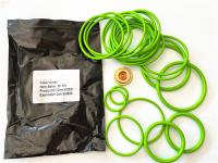 China AP Compact 10 20 Baker Setting Tool Kits O Rubber Ring Make Amends For Bridge Plug Redress Kits for sale