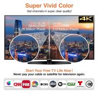 China DTMB Ground Wave ATSC Digital Definition Digital TV Receiver Indoor All-in-One Antenna for Antenna Length mm 230*120*0.6 for sale