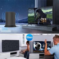 China 8K 4K 1080p HDTV Indoor Amplified Antenna Supports Digital TV 170-860MHz Frequency Range 10m Cable Local Channel Focused for sale