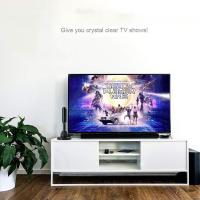 China TV Antenna HD Portable Indoor Digital Antenna TV for USB TV Tuner / DVB-T2 Television for sale