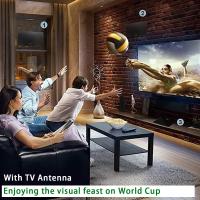 China Customized Cable Length 3m 10ft /5m 16ft Digital DVB-T TV Antenna Freeview Aerial HDTV Strong Signal Indoor UHF VHF Indoor for sale