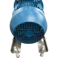 China High Speed Heating Cooling Module Mixing Anti Corrosion Shear Pump Mixer for sale