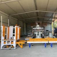 China ABB IRB660 Industrial Palletizer Robotic Palletizer Machine 1200-2000BPH for sale