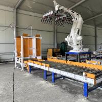 China Boxes Bags Cartons Robotic Case Packer And Palletiser for sale