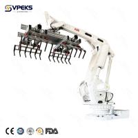 China Automatic Depalletizing Machine With Robotic Arm 250kg for sale