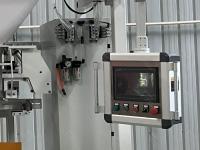 China PE Bag Auto Baggers In Industry Automatic Weighing And Packing Machine for sale