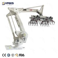 China Robotic Palletising Equipment 180Kg 250Kg For Pharmaceutical Medical for sale