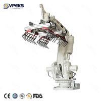 China High Precision Robotic Palletizing Equipment Fully Automatic for sale
