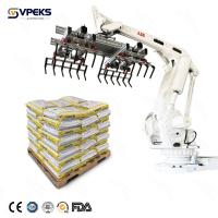China High Precision Robotic Palletizing Equipment Fully Automatic for sale