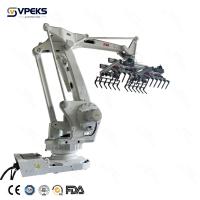 China Carton Bag Robotic Automated Palletiser Food Beverage Commodity for sale