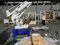 China Automated Technology Group Depalletizer Machine For Carton Plastic Cases Applicable To Various Industries for sale