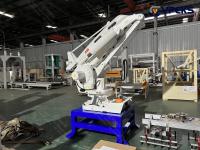 China Horizontal Transfer Type Automatic Depalletizer For Shockproof Packaging Performance for sale
