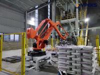 China Industrial Grade Automated Depalletizer Machine High Speed for sale