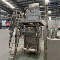 China Automatic 2 Head Linear Weigher Weighing Filling Machine For Powder/Granule for sale