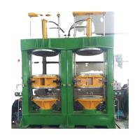 China 220V Motorcycle Capsule Vulcanizing Press for Green/Customized Outer Tyre Production for sale