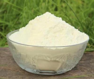 China Acid Modified Corn Starch Binder 9063-38-1 For Paper Faced Gypsum Board for sale