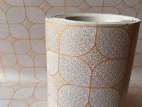 China 100g/m 0.06mm Laminated Pvc Gypsum Film Interior Decoration Ceiling Film for sale