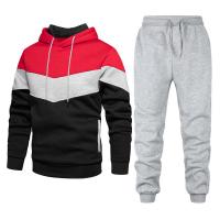 China Adults Unisex Hoodies 100% Cotton Sweatshirt And Sweatpants Set Solid Thick Hoodie for sale