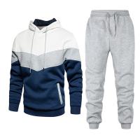 China Adults Unisex Hoodies 100% Cotton Sweatshirt And Sweatpants Set Solid Thick Hoodie for sale