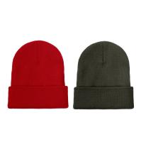 China Custom Logo Embroidery Unisex Acrylic Knit Cuffed Cap Warm Winter Knit Hats Beanie for SKI for sale