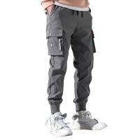 China Men's Printed Cargo Pants with Pockets Mid Waist Plus Fleece Knitted Polyester/Cotton for sale