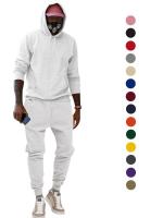 China Custom Blank Sweat Suits Men Jogging Set Hoodies Jogging Wear Clothing for sale