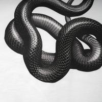 China Gender-Neutral 3D Printed Snake Loose T-shirt for Street Fashion in Various Sizes for sale