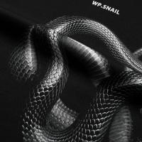 China Gender-Neutral 3D Printed Snake Loose T-shirt for Street Fashion in Various Sizes for sale