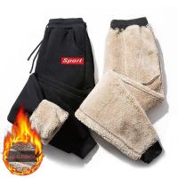 China Casual Style Drawstring Waist Winter Thick Sherpa Fleece Joggers for Men's Sweatpants for sale
