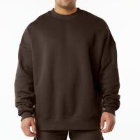 China 400G Cotton Winter Streetwear Mens Pullover Heavyweight Plush Fleece Hoodie for Mens for sale