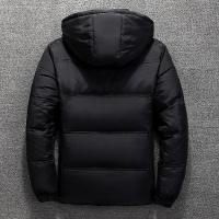China Sustainable Mountain Warm Jacket Hooded Winter Puffer Snow Coat Windproof Waterproof for sale