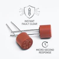 China 6.3A 250V 8.5*8mm Fuse Industrial Grade Circuit Protection High Quality RoHS Compliant for sale