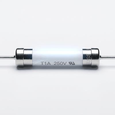 China 30A 250V 6.35x31.75mm Ceramic Tube Fuse Industrial Grade Circuit Protection for sale