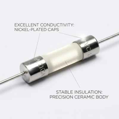 China 16A 250V 5.2x20mm Ceramic Tube Fuse Industrial Grade Circuit Protection for sale