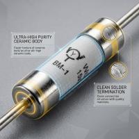 China 300A 500V 5.2*20mm Fuse Industrial Grade Circuit Protection High Quality RoHS Compliant for sale