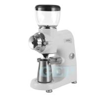 China Fashion Professional Electric Coffee Grinder With 230g Bean Hopper Capacity for sale