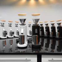 China 40mm Conical Burr Coffee Bean Grinder with 180W Power and Titanium Alloy Burr Material for sale