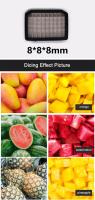 China 100kg/20 min Work Efficiency Vegetable Dicing Machine for Carrot Potato Cucumber Onion for sale