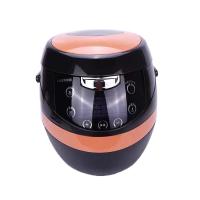 China Main Function Electric Tapioca Cooker for Commercial Kitchens Smart Pearl Boiler for sale