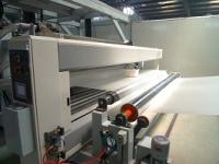 China Single Screw SGP Solar Film Production Line BIPV Modules Using for sale
